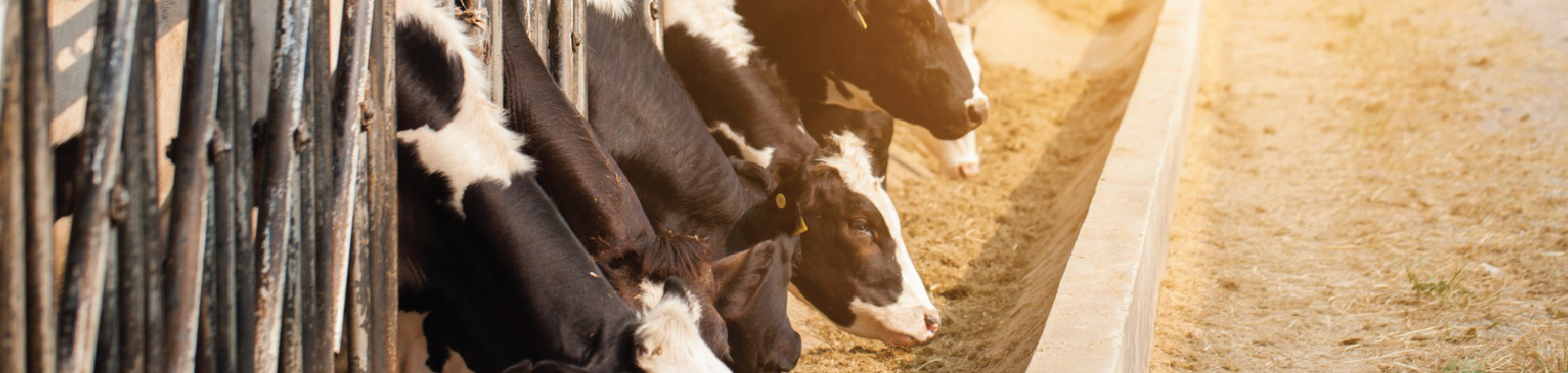 Animal Health & Medicated Feed Testing Services - Eurofins USA