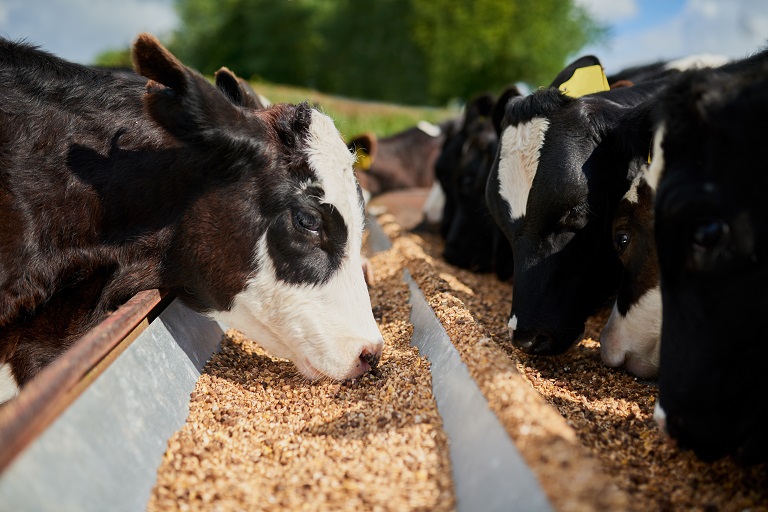 Animal Health & Medicated Feed Testing Services - Eurofins USA
